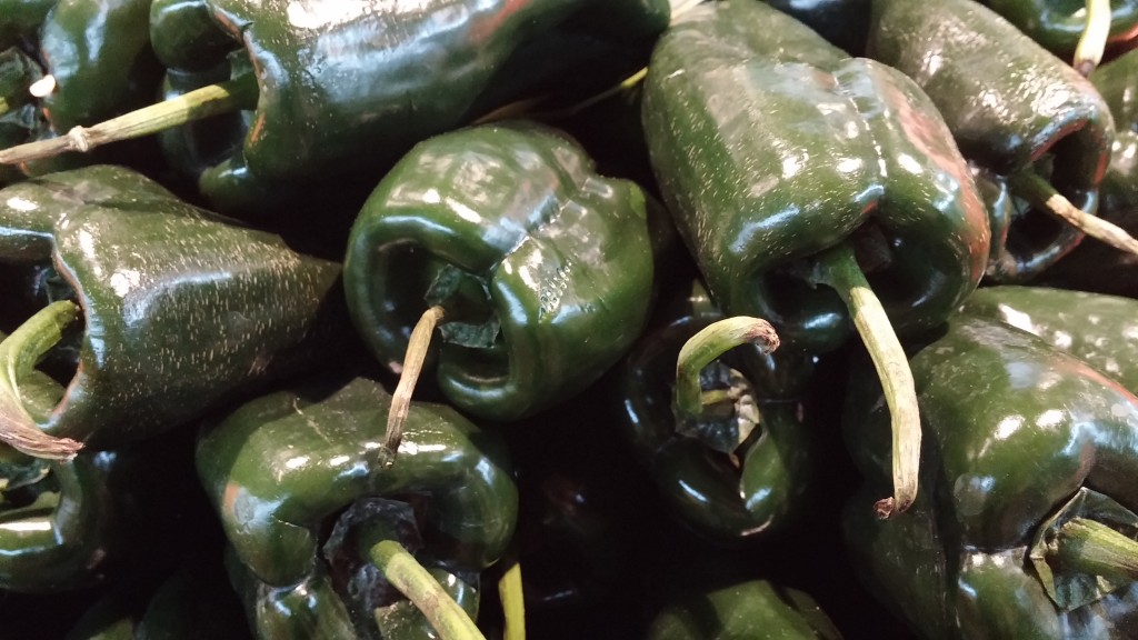 Poblano Pepper seeds | World Seed Supply