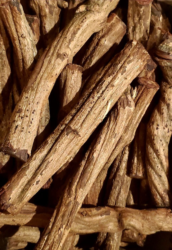 Hawaiian Caapi Vine | World Seed Supply